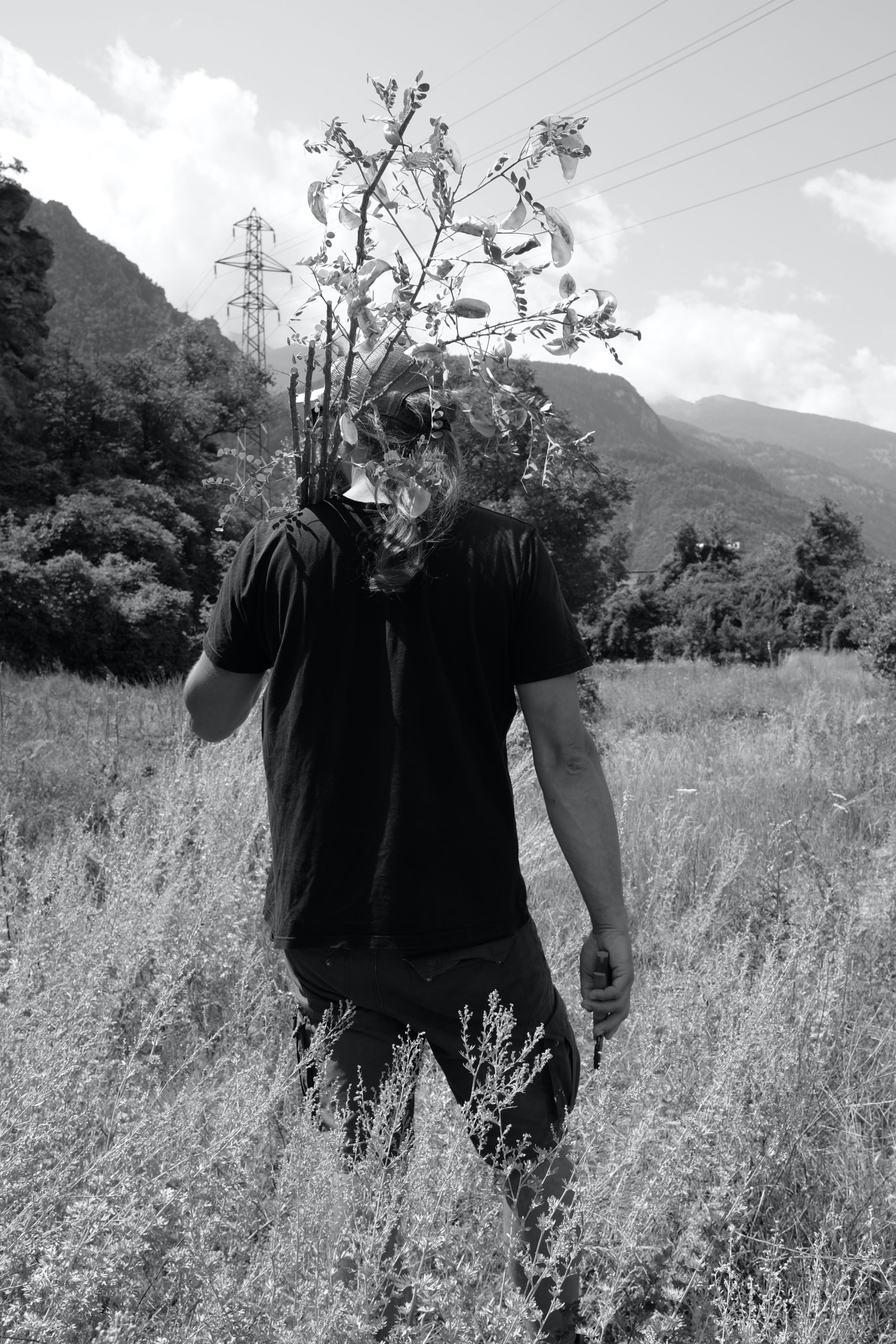 François Génot en résidence chez Canop’terre et sur le territoire d ...